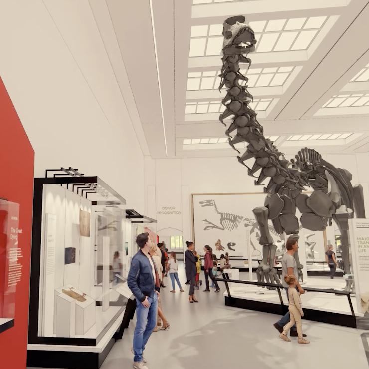 Exhibitions Yale Peabody Museum
